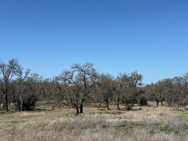 Lot 4 Scott Branch Rd, Unit 4, Harper, TX 78631 | MLS #103928