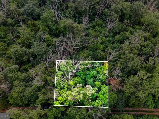 Lot 4 Saltlick Trail