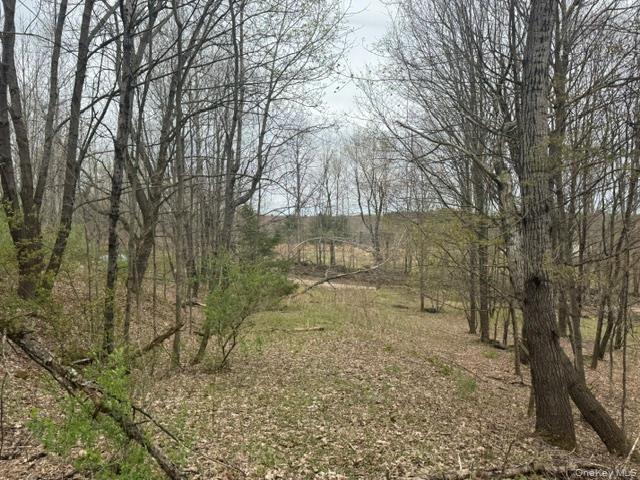 Lot 4 Shaver Hill Road