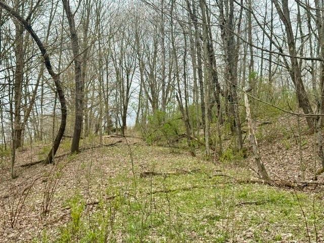 Lot 4 Shaver Hill Road