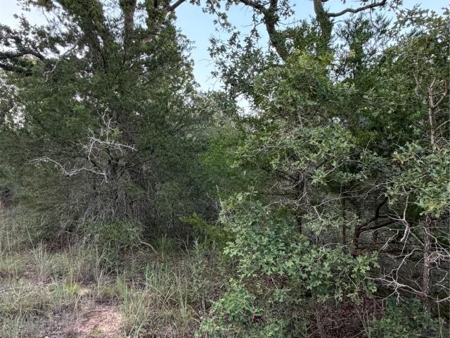 Lot 4 Spruce St