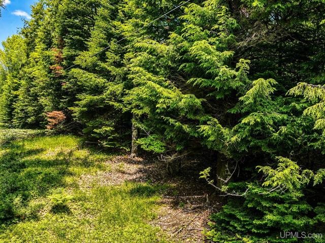 Lot 4 Stateline Lake Road