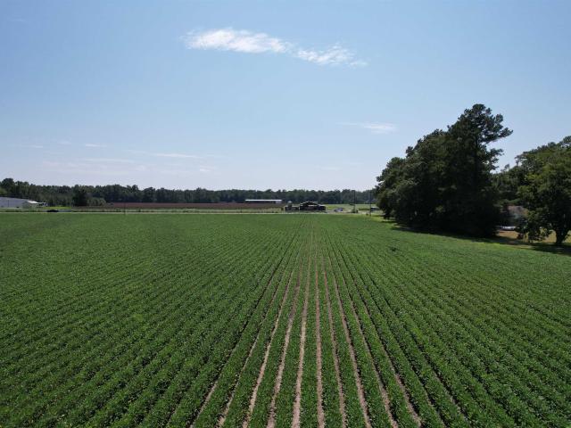 Lot 4 Sumter Hwy