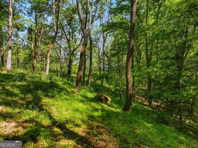 LOT 4 Summit Drive