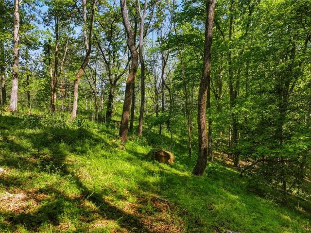 Lot 4 Summit Drive