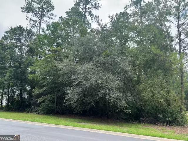 Lot 4 Sunset Dr, Woodbine, GA 31569 MLS 10358073
