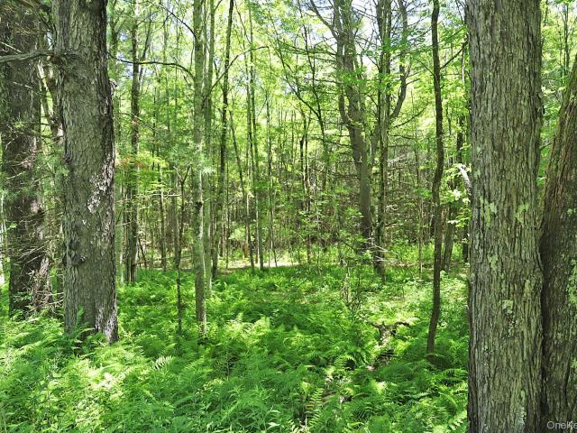Lot 4A Hurd Road
