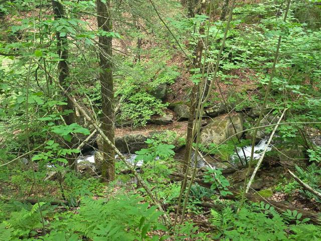 Lot 4B 29 2 Joslin Road