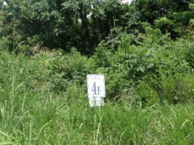 Lot 4F Trout Lane