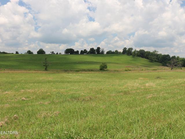 Lot 4R County Road 461