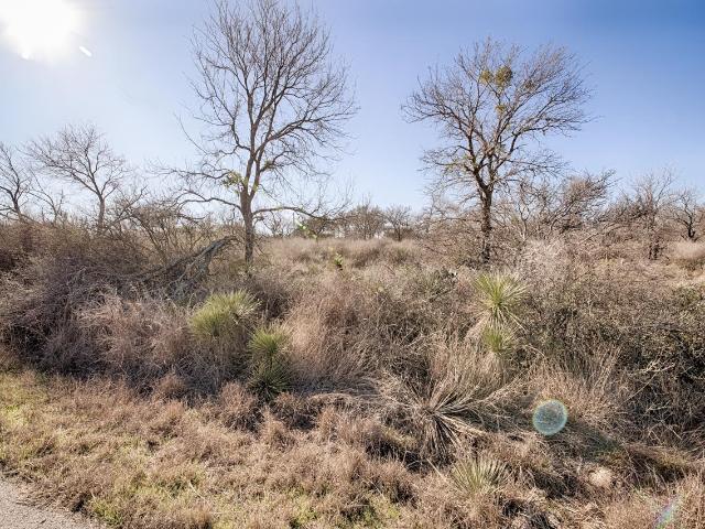 Lot 509 S Lake Dr, Granite Shoals, TX 78654 | MLS #172010 | Compass