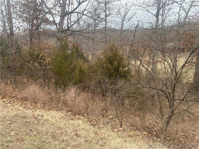 Lot 50 Country Club Cove Drive