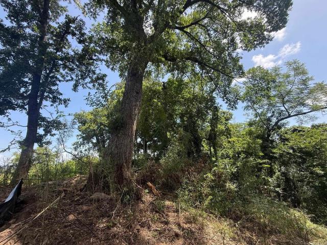Lot 50 Down River