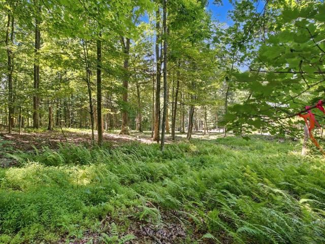 Lot 50 donald ross trl