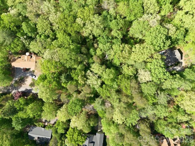 Lot 50 Huntington Rd Lake, Unit 50, Lake Lure, NC 28746 | MLS #4373 | Compass