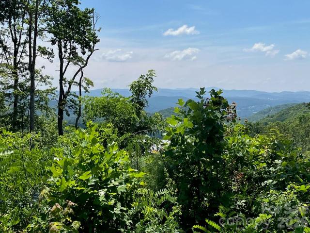 Lot 50 Mountain Grv Ln, Unit 50, Fletcher, NC 28732 | MLS #4234