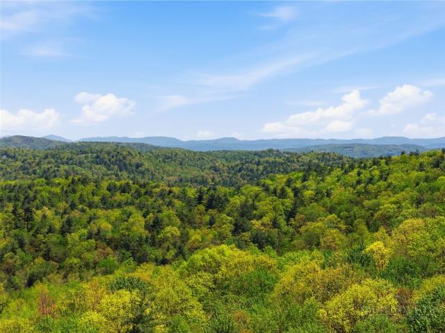 Lot 50 Wildcat Wilderness Reserve Parkway