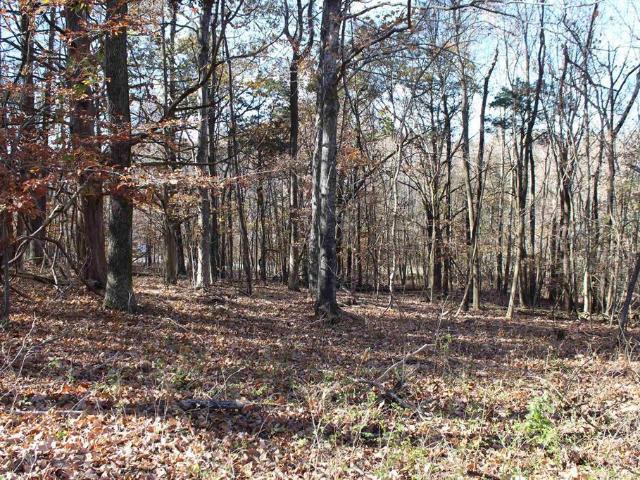 Lot 51 Backstrom Heights Road # 63d 51