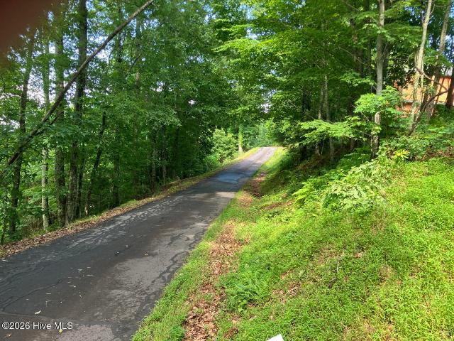 Lot 51 Buck Ridge Drive # 51