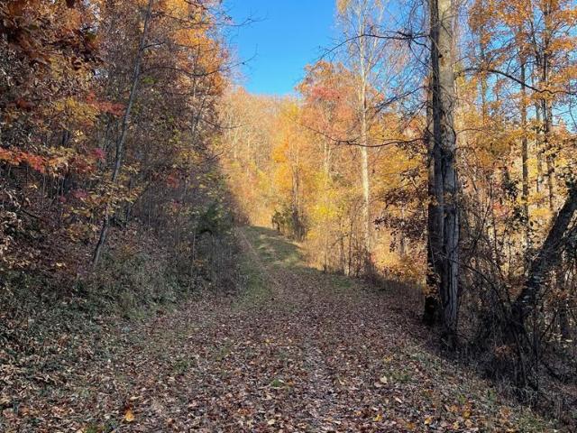Lot 51 Indian Trail, Hayesville, NC 28904 | MLS #417443