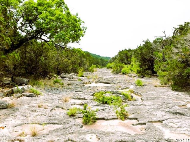 LOT 51 Pr 2537
