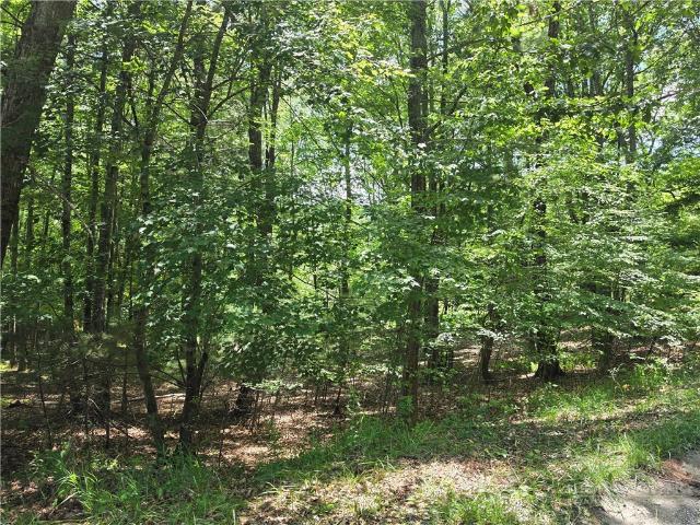 Lot 51 Toms Knob Road 1 51