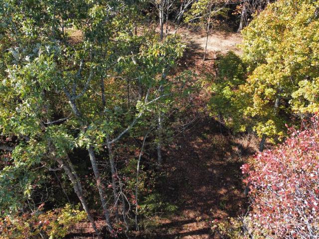 Lot #51 The Reserve At Cliffview