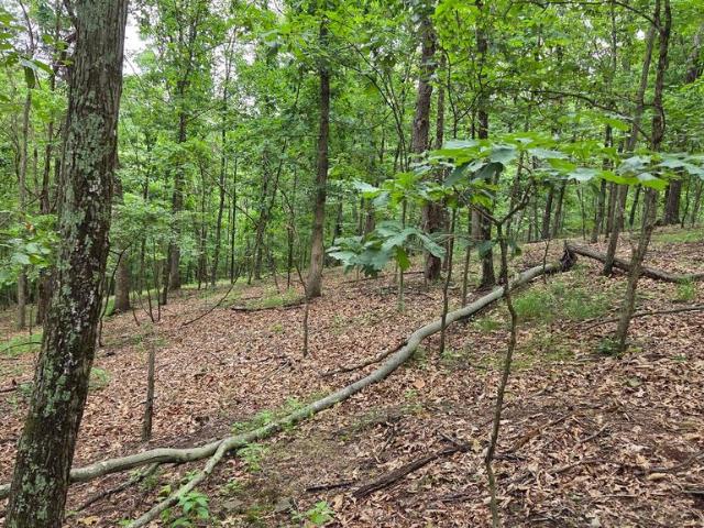 Lot 51 Valley Drive
