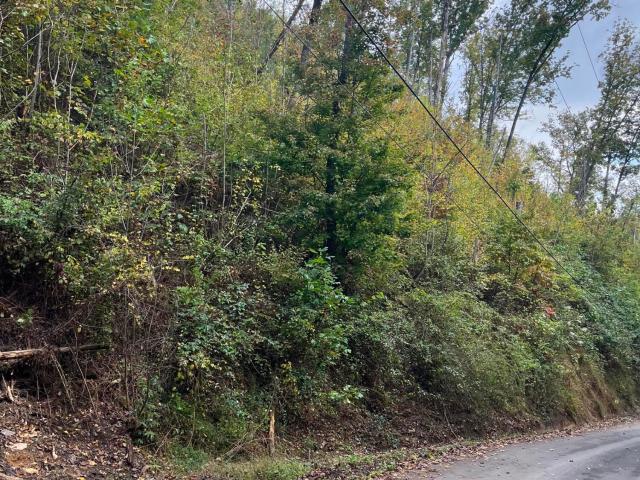 Lot 529 Deep Hollow Rd, Gatlinburg, TN 37738 | MLS #1319