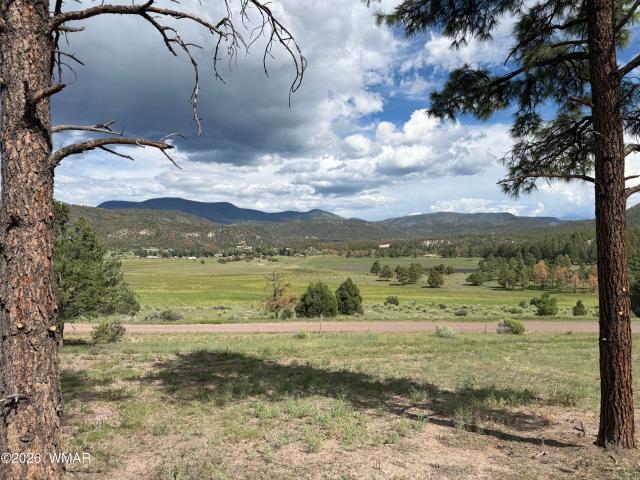 Lot 52 County Road 2225