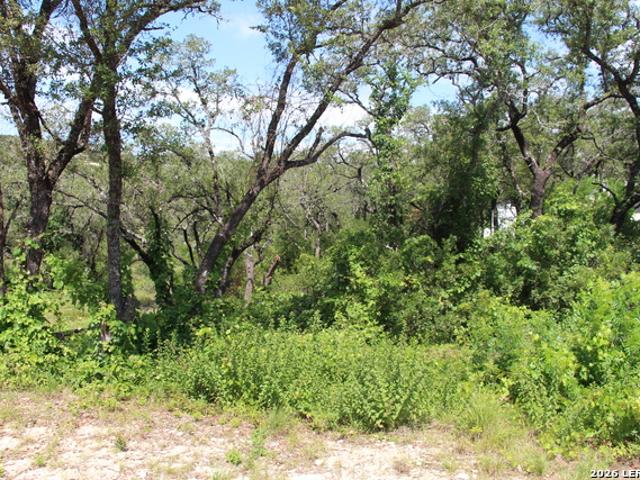LOT 52 Clear Water Cyn