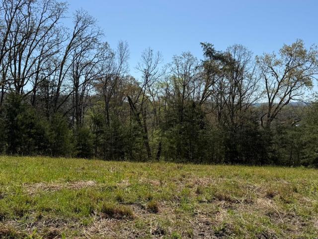 Lot 52 Bayside Boulevard