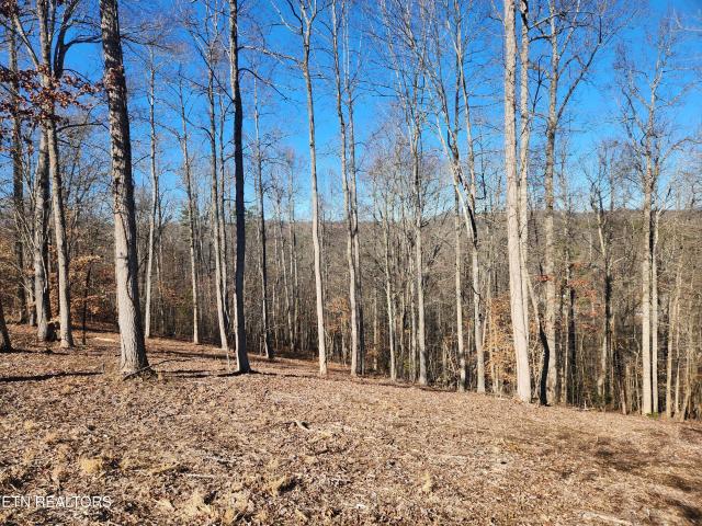 Lot 52 E Poplar Lane