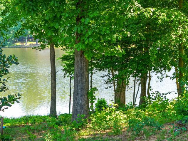 Lot 52 Lakeview Dr, Stafford, VA 22556 | MLS #VAST2048