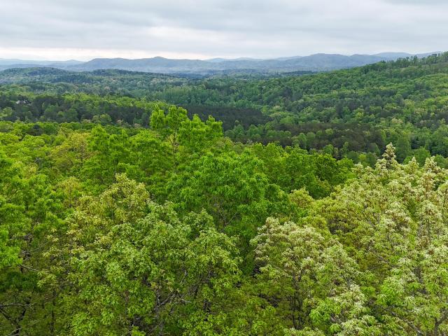 Lot 52 Sundance Court