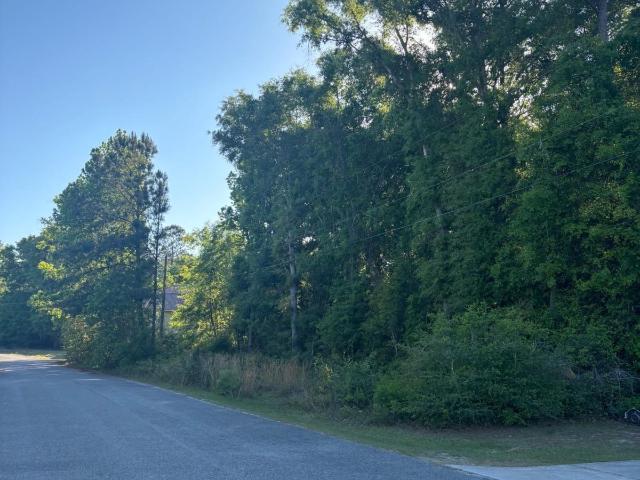 LOT 52 Pelican Lane SE