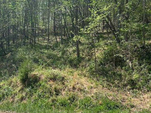 Lot 537 Whistle Valley Rd, New Tazewell, TN 37825