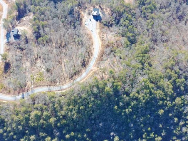 LOT 53 Mountain Laurel Ridge