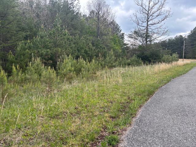 Lot 53 Pioneer Lane