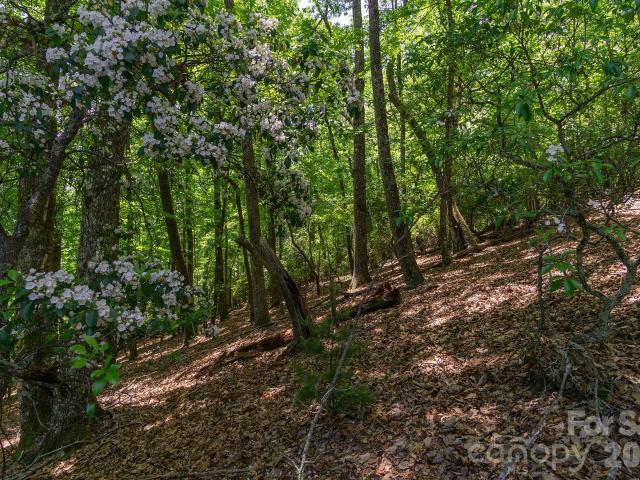 Lot 53R Mills River Way # Lot 53R