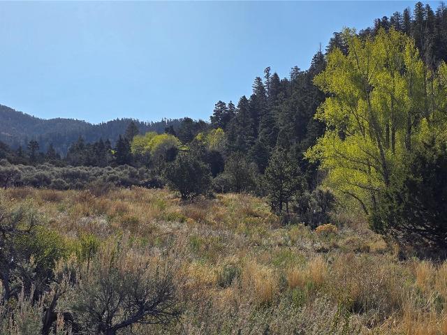 Lot 5475 Joy Road