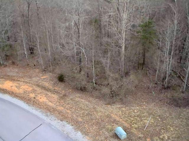 Lot 540 Hickory Way