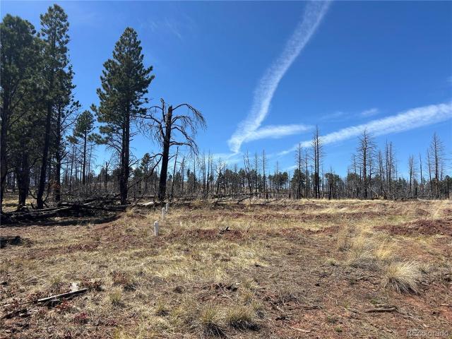 Lot 542 Forbes Park