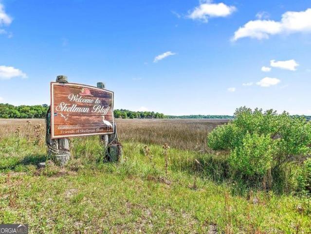 Lot 543 Cooper's Point, Townsend, GA 31331 MLS 20156429