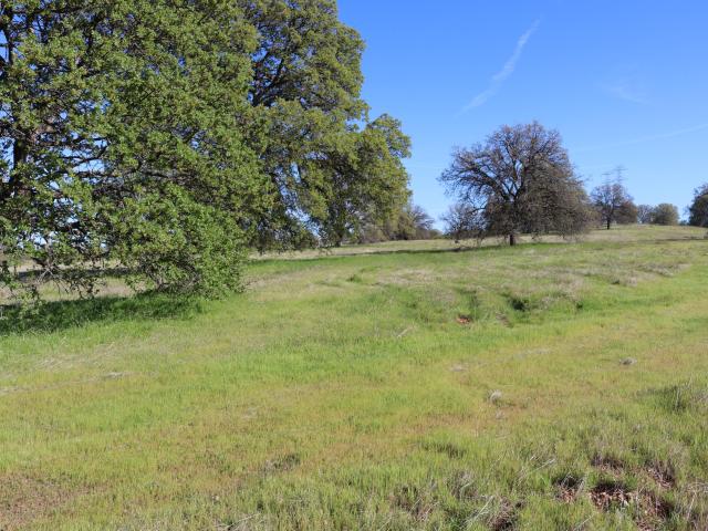 LOT 54 Arlington Park Place
