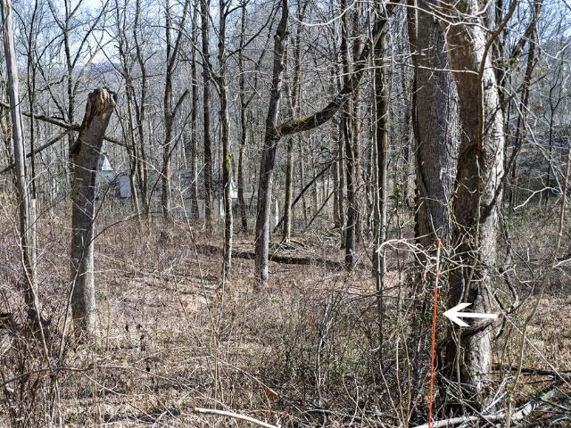 Lot 54 Lake Valley Dr