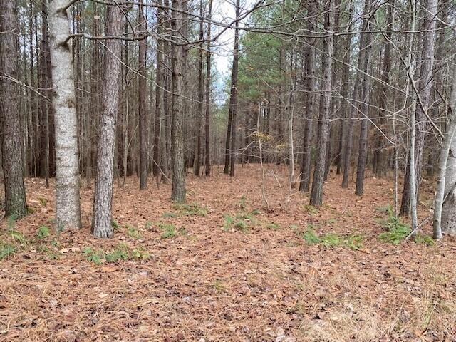 Lot 54 Mokay View Dr, Unit 54, Sherwood, TN 37376 | MLS #1530