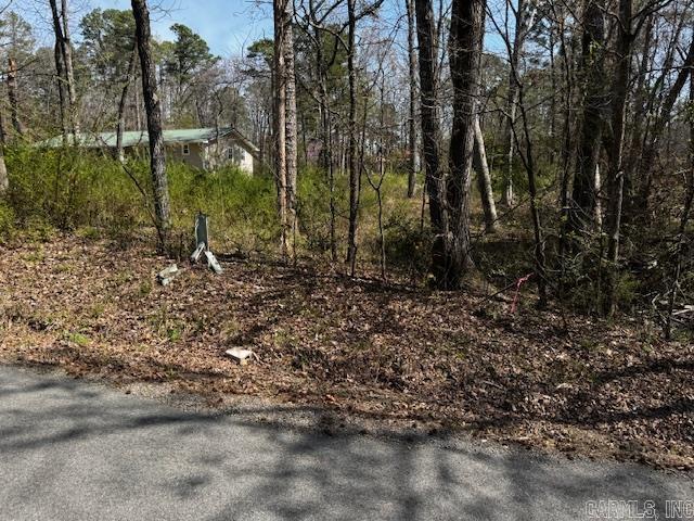 Lot 54 Silagy