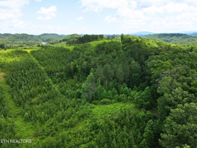 Lot 54 Three Point Rd