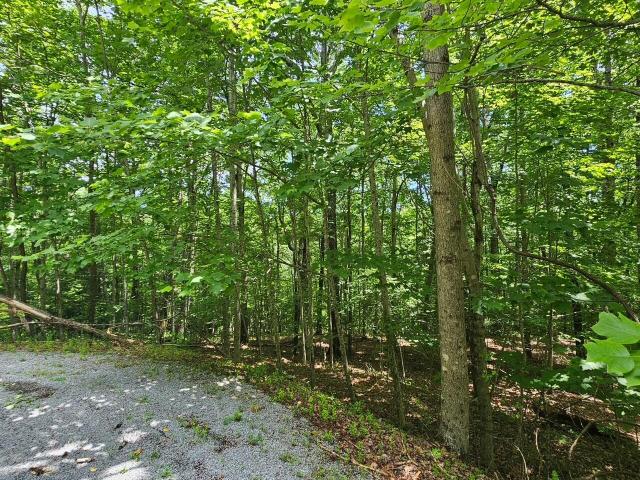 Lot 555 Oak Leaf Lane